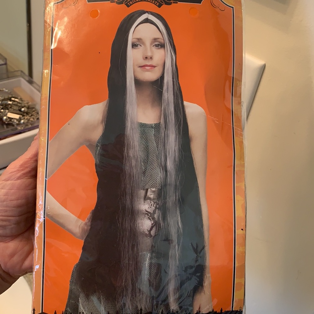 Rubies Costume Spider Witch Dress & Spider Choker & N… - Gem